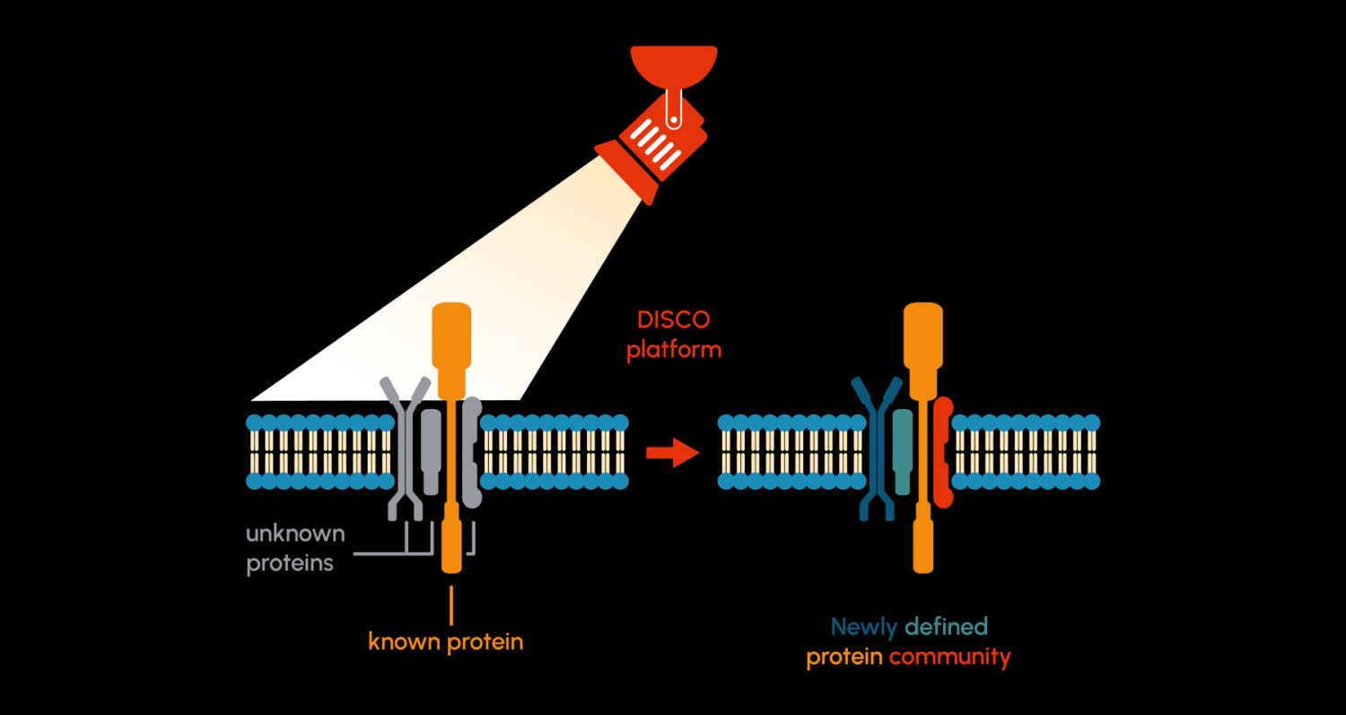 DISCO Pharmaceuticals – The surfaceome company